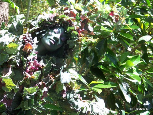 DiVine Performance Art At Disney's Animal Kingdom